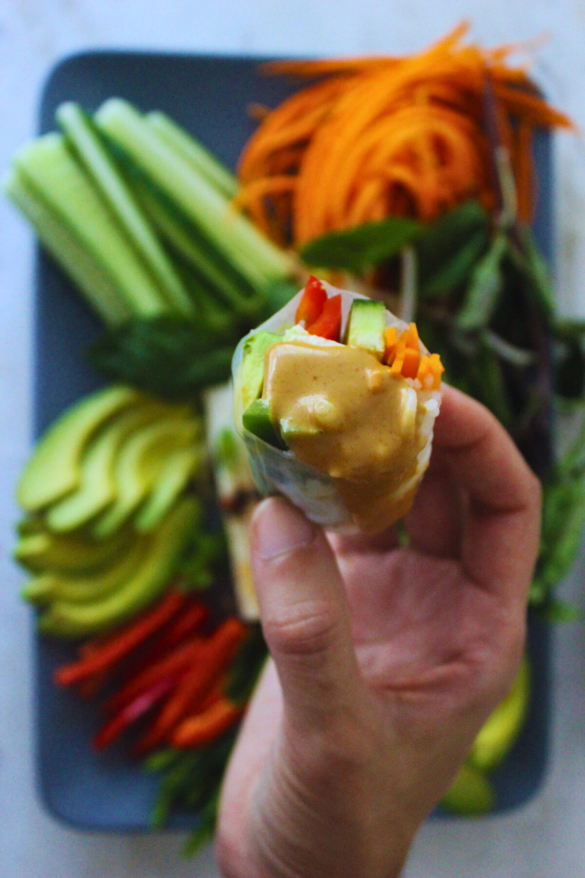 Vegetable Spring Rolls with Peanut Sauce - Some Vegan Couple
