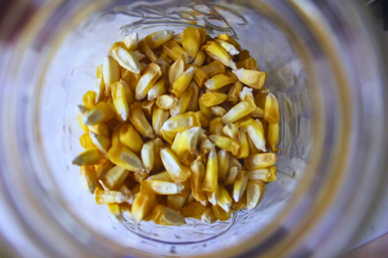 Peruvian Crunchy Popcorn (Canchitas) - Some Vegan Couple